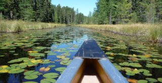 Quetico Superior Wilderness News | Quetico Superior Wilderness News